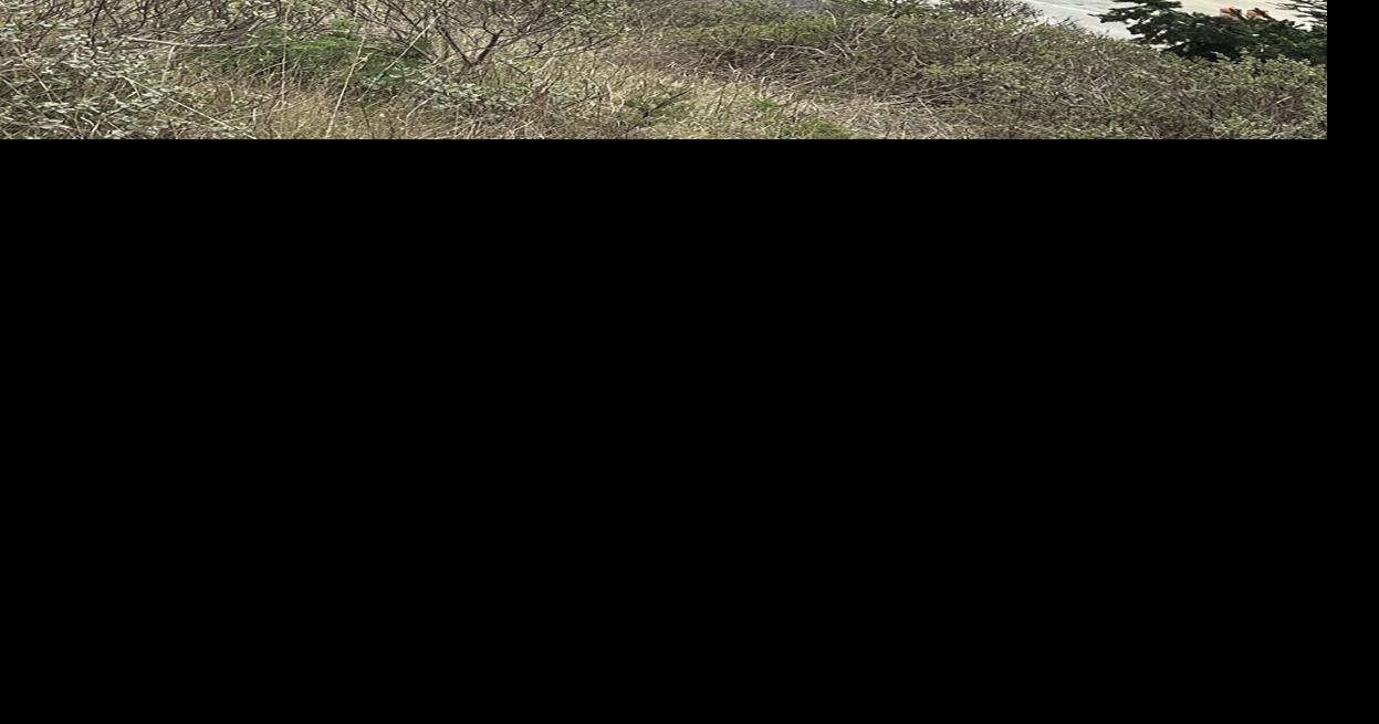 ODOT still working to repair damage from January landslide | Local News ...
