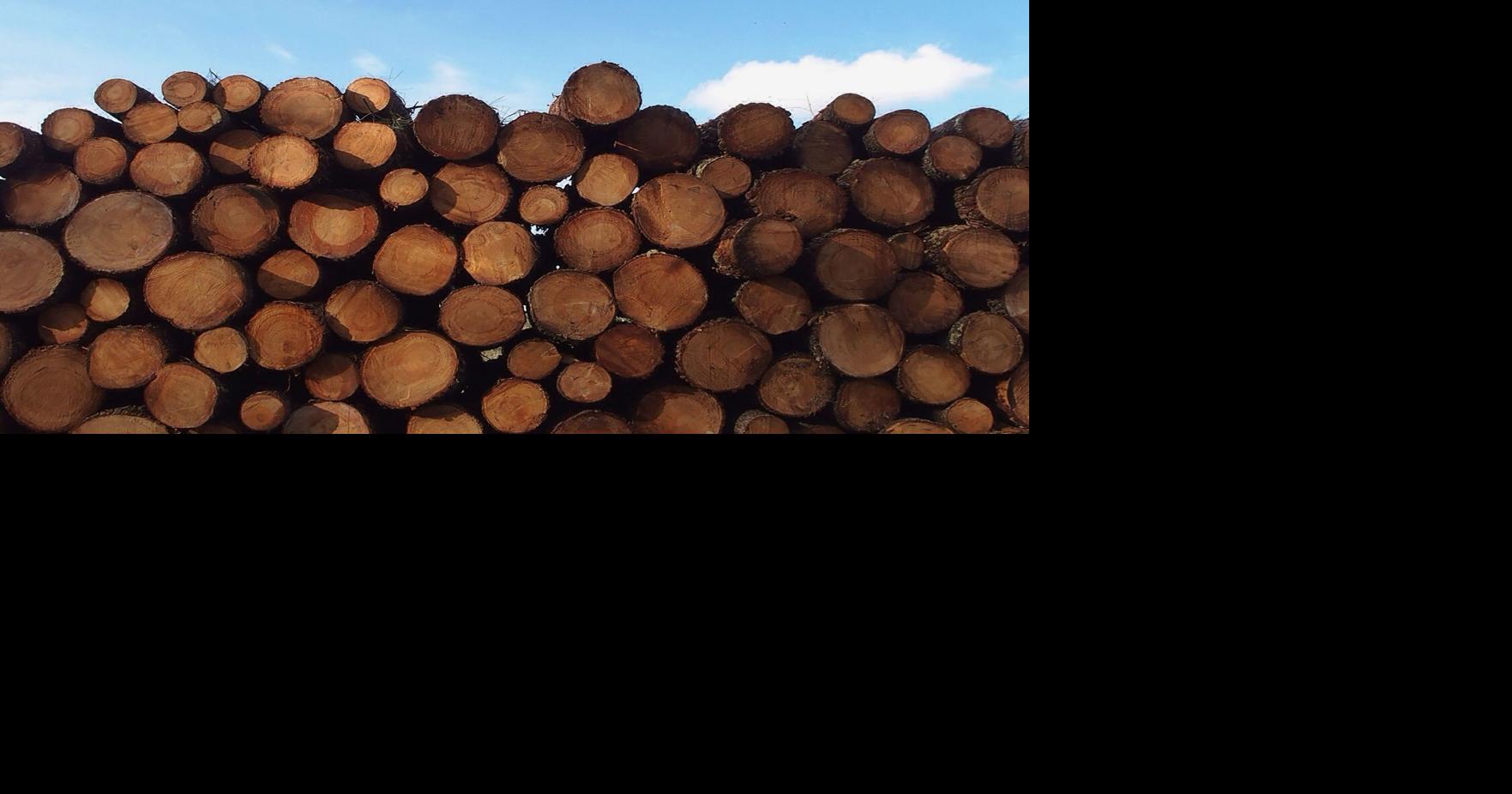 Conservationists challenge Coast Range logging plan | Local News ...
