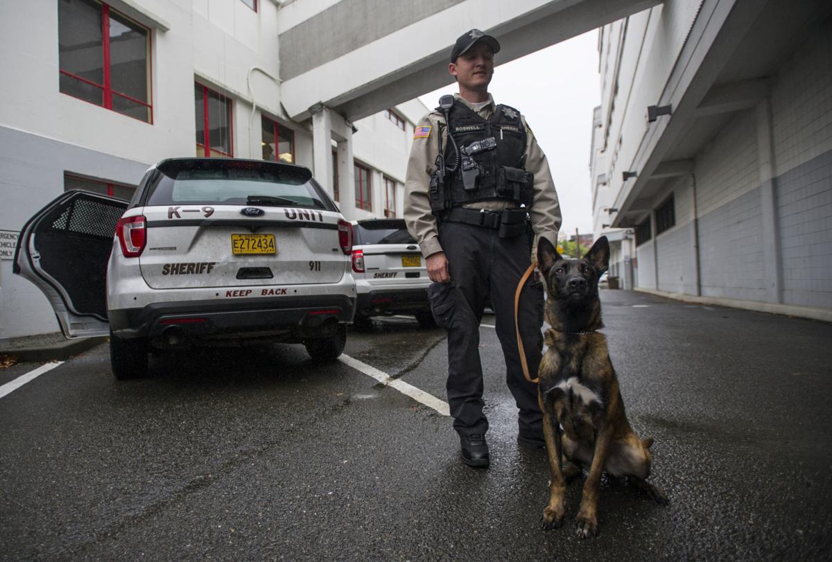 K-9 Officer Raven joins the Coos County Sheriff’s Office | Local News ...