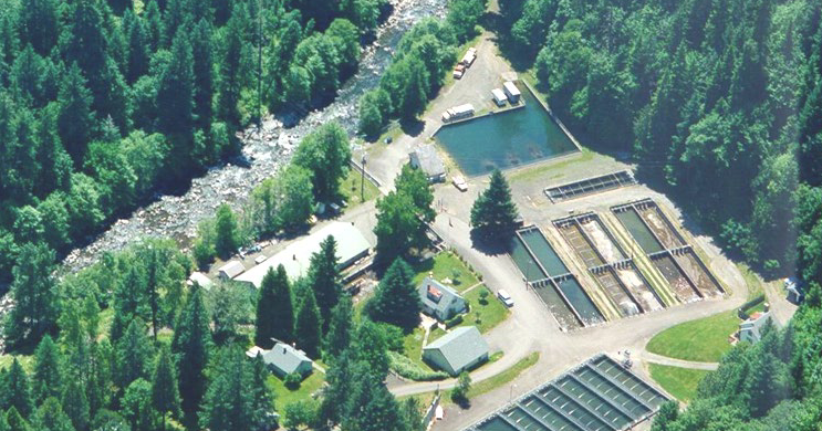 Proposed ODFW budget closes hatcheries. increases fishing, hunting fees ...