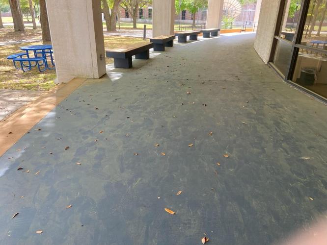 How to Deal with Pollen Season: Important Tips for Seasonal Allergies ...
