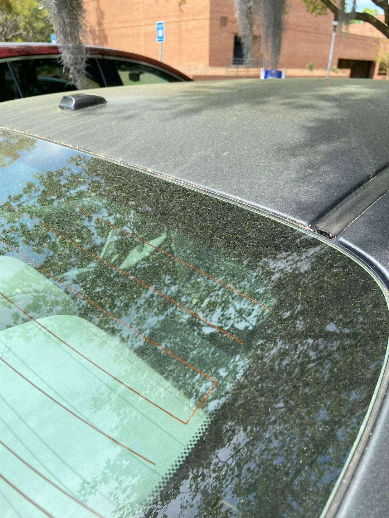 How to Deal with Pollen Season: Important Tips for Seasonal Allergies ...