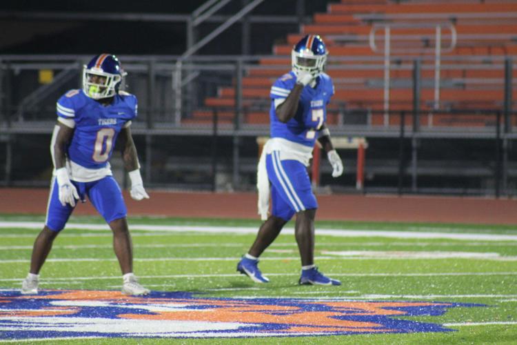 PHOTOS: Savannah State Tigers Football against Lincoln University ...
