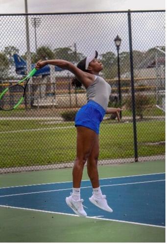 Insightful gains into culture, diversity, and importance of ...