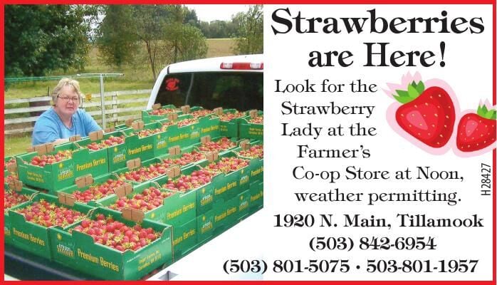Mega Sale Bay City, OR 4th of July Weekend | Ads ...