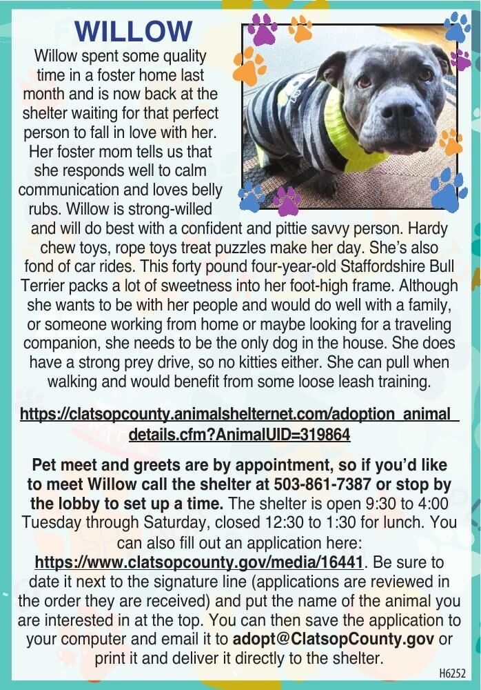 CBG E-Edition for 1-2-26 | E-edition | tillamookheadlightherald.com