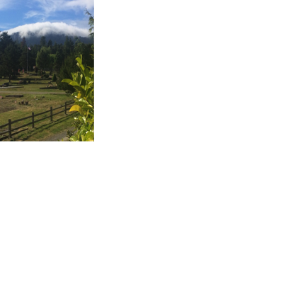 Nehalem Council approves fee bumps | News | tillamookheadlightherald.com