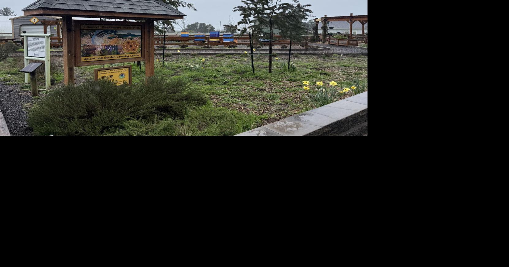 Beekeepers enjoy new apiary | News | tillamookheadlightherald.com