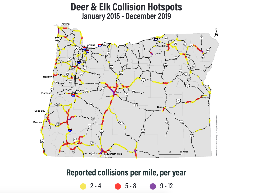 Migration Season: What you need to know about deer and elk on Oregon ...