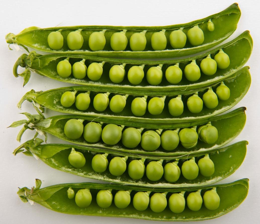 Year of Wellness: Visualize whirled peas... and utilize versatile peas ...