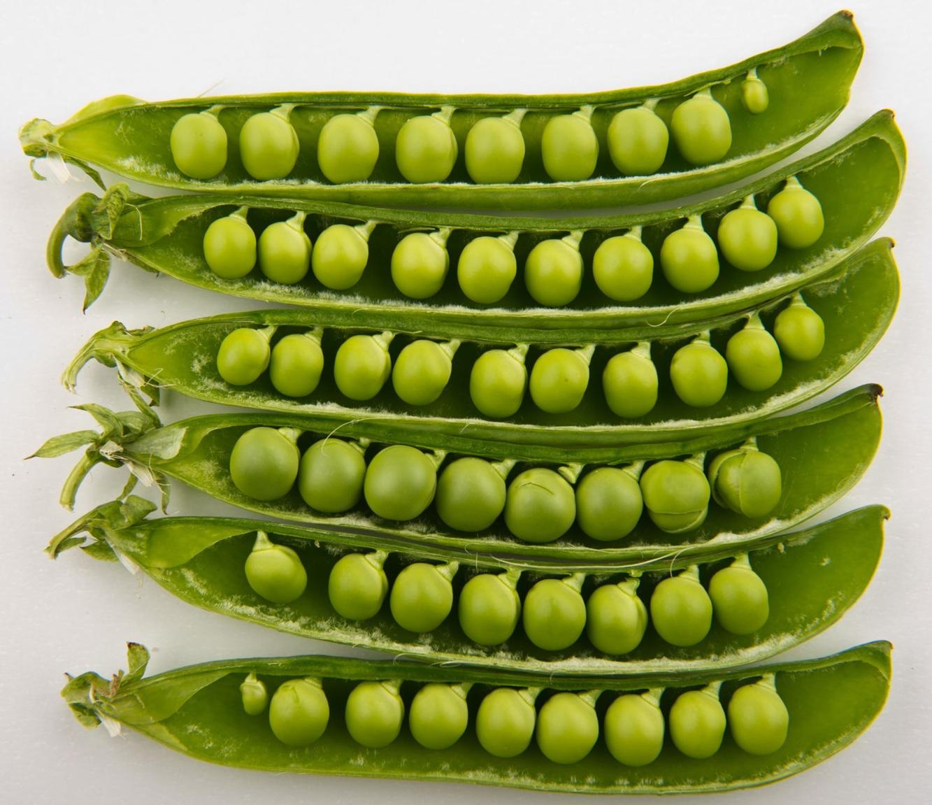 Year of Wellness: Visualize whirled peas... and utilize versatile peas ...