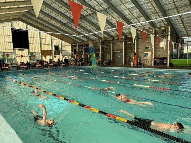 Fresh Identity: Sea Lions Swim Team unveil new brand | News ...