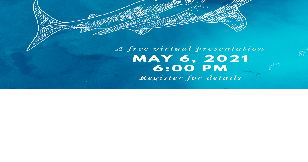 Discover “Sharks of the Oregon Coast” May 6 | Community ...