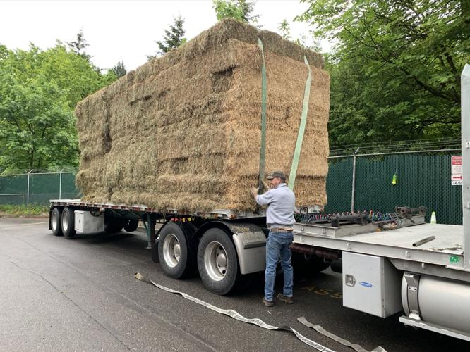 Jenck Farms, TCCA donate hay to Oregon Zoo | News ...