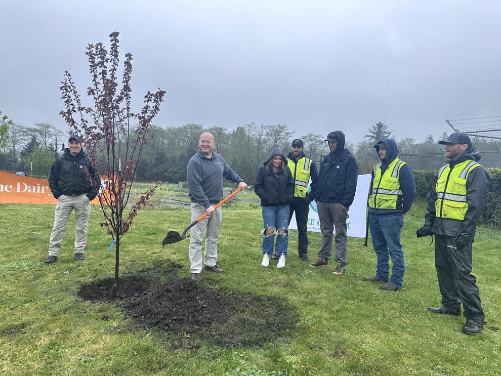 Tillamook staff mark Arbor Day with tree planting | Community ...