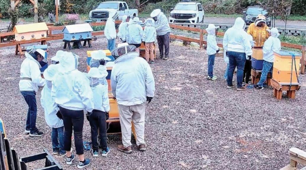 Adventist 4th and 5th grade students swarm the beehives | Community ...