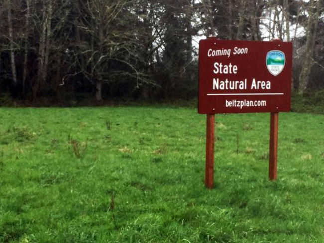 Sitka Sedge open by July: the county's new State Natural Area | News ...