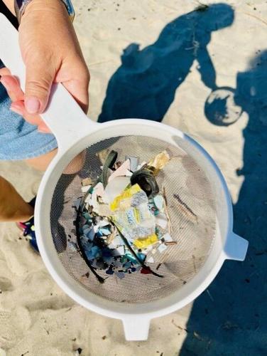 Volunteers celebrate Earth Day during SOLVE’s Oregon Spring Cleanup ...