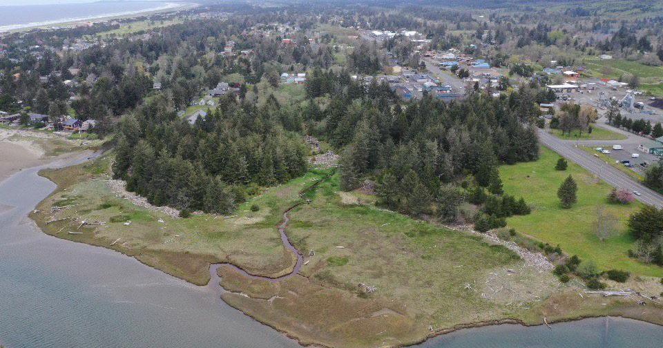Land conservancy returns ancient cultural site to Clatsop-Nehalem ...