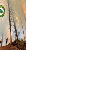 Oregon Department of Forestry declares fire season | News ...