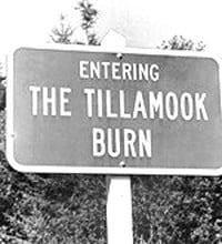 Revisiting the infamous Tillamook Burn, Part 1 | News ...
