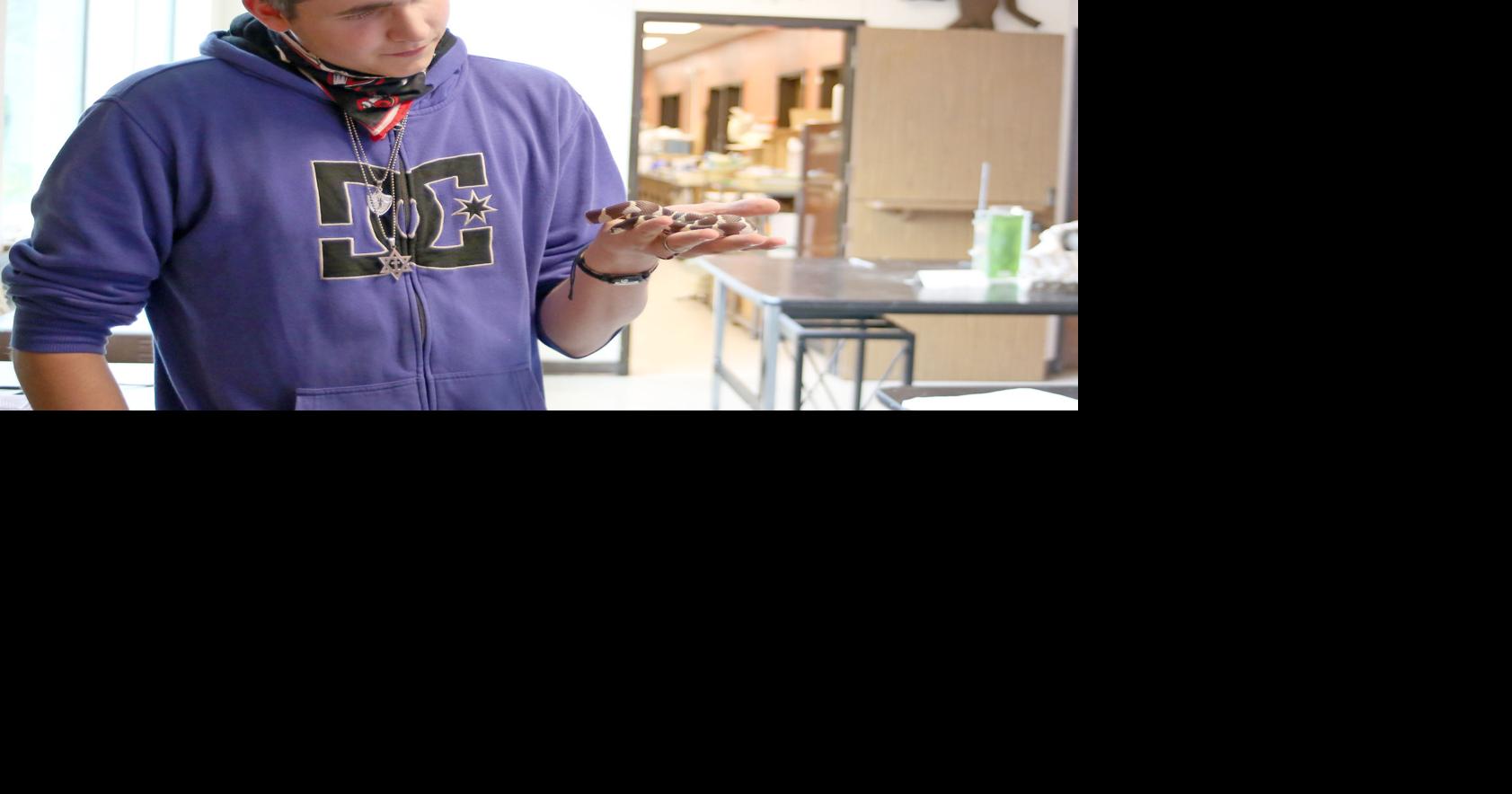 Classroom critters: CMHS students pick spiders, snakes, other creatures ...