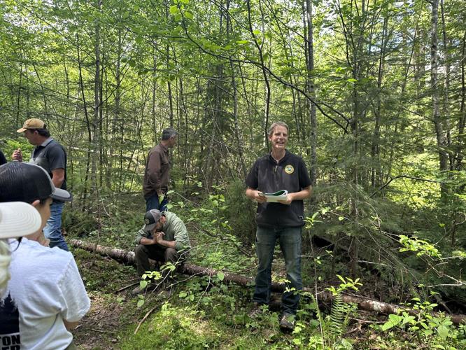 SFAC heads into the forest | News | tillamookheadlightherald.com