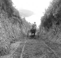 Remembering north coast heroine Mary Gerritse | Community ...