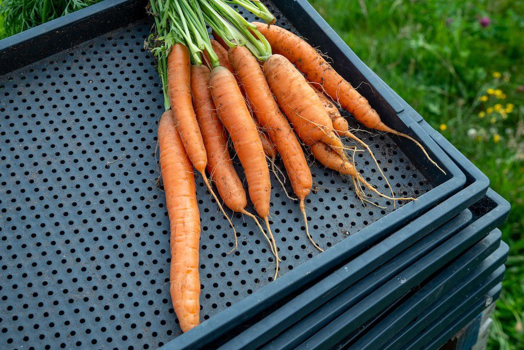 Food Roots’ FarmTable offers online marketplace | Community ...