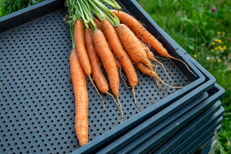 Food Roots’ FarmTable offers online marketplace | Community ...