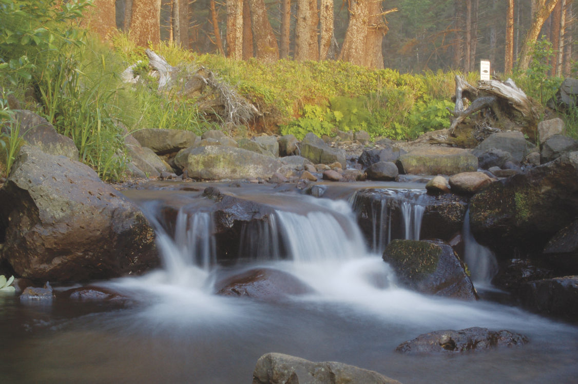 Latest Photos of the Week | Collections | tillamookheadlightherald.com