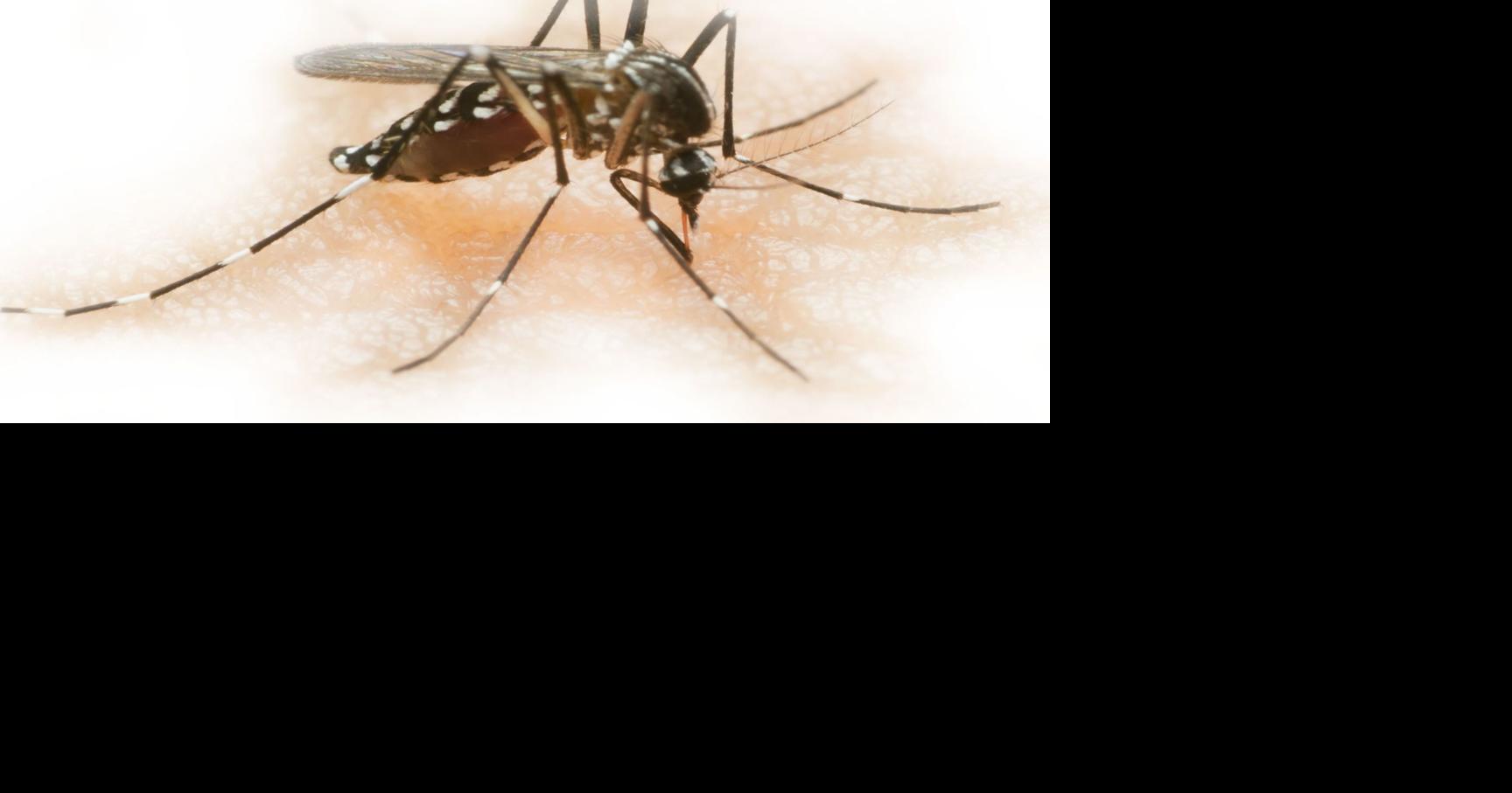Clarification: Hi-Tech Mission: Controlling Columbia County's ...