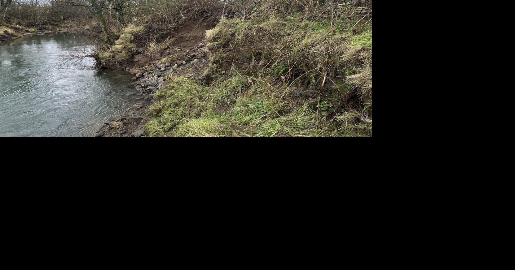 Compromised berm on Wilson River threatens loop road, business district ...
