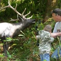 Tillamook Shooters Association opens new 3D archery shooting course ...