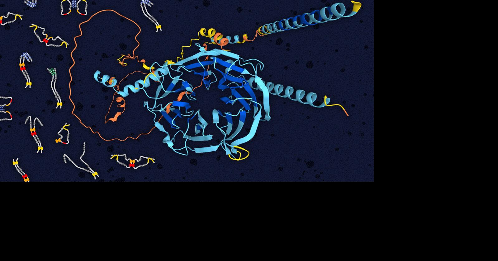 New analysis of cellular ‘vehicles’ drives a deeper understanding of ...