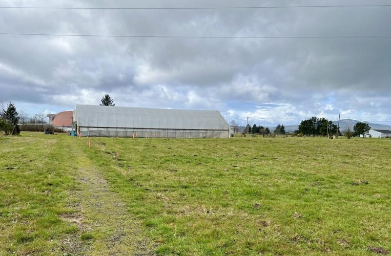 Beekeepers enjoy new apiary | News | tillamookheadlightherald.com