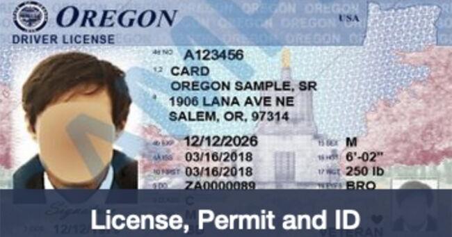 Camera Breakdown: Incident prevented DMV from issuing IDs, driver’s ...