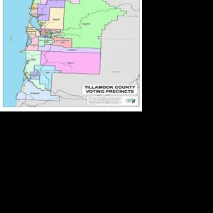 New redistricting maps are now available for voter precints in ...