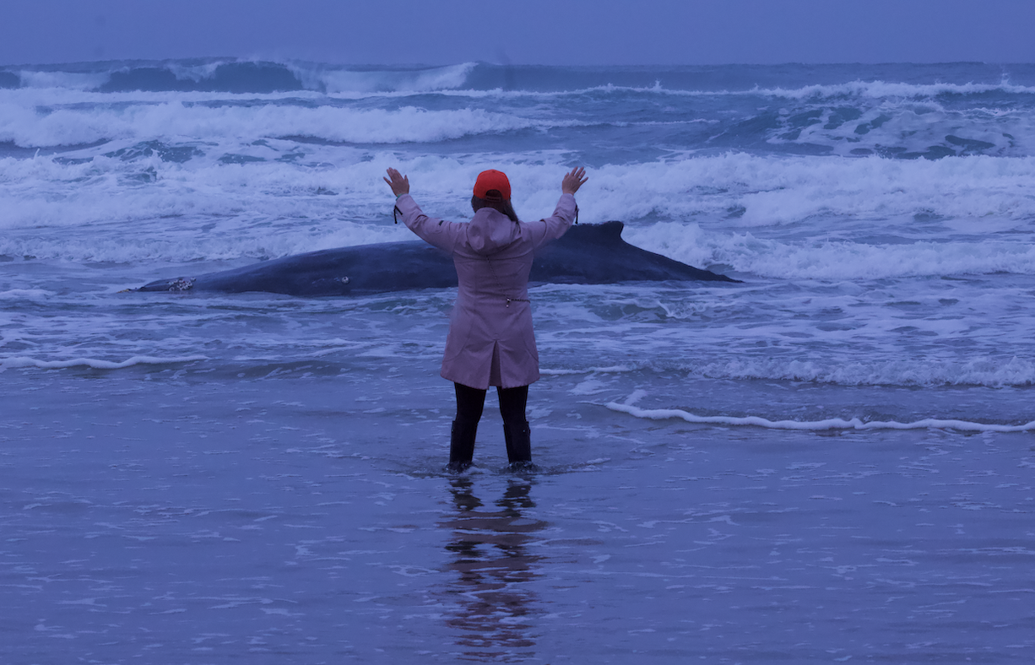 ODFW opens comment period concerning risk of marine life entanglements ...