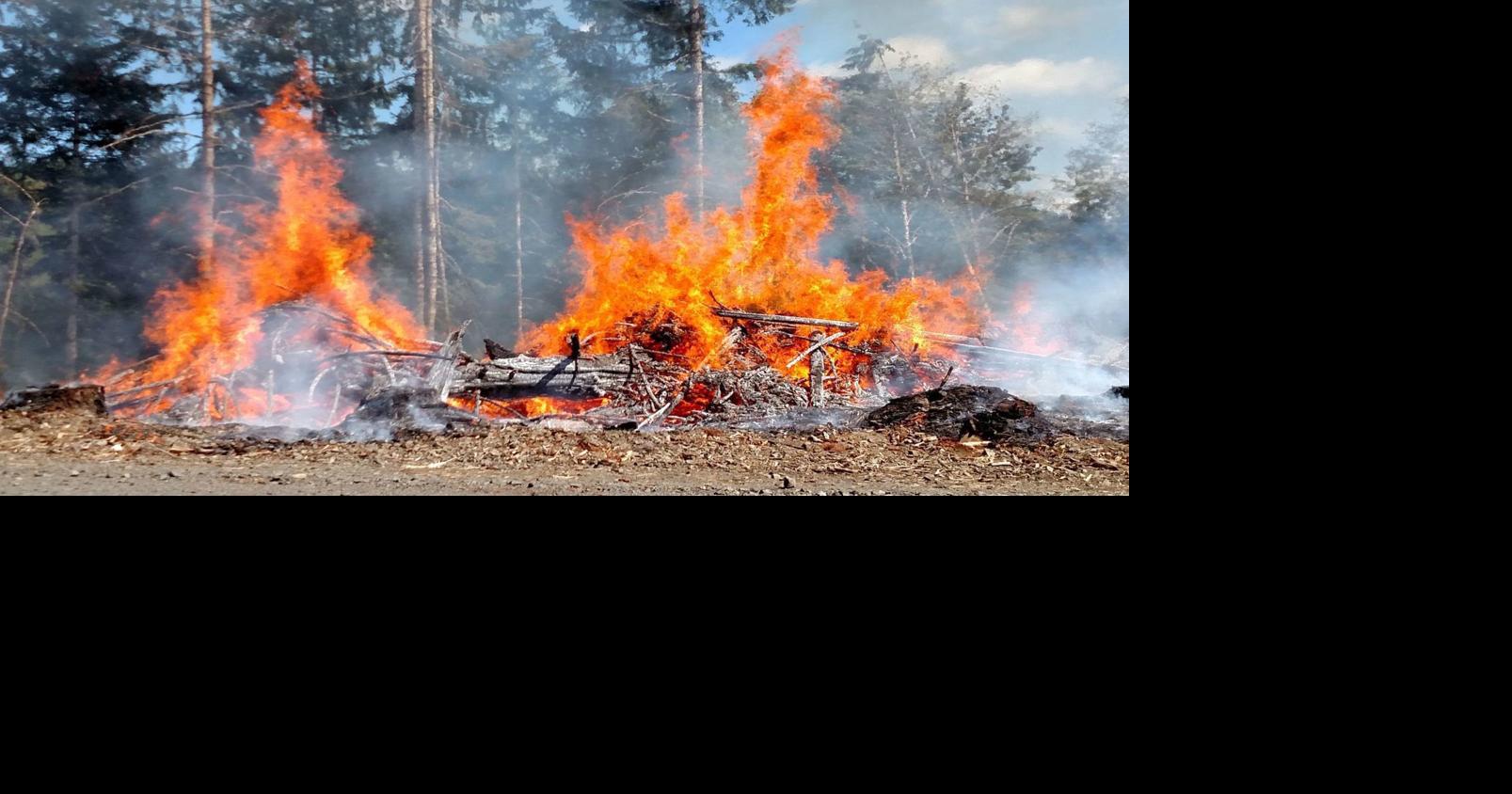 WILDFIRE SEASON: Backyard burning banned July 1 | News ...