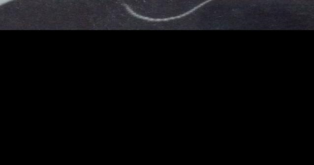 Carol Sue Rees | Obituaries | tillamookheadlightherald.com