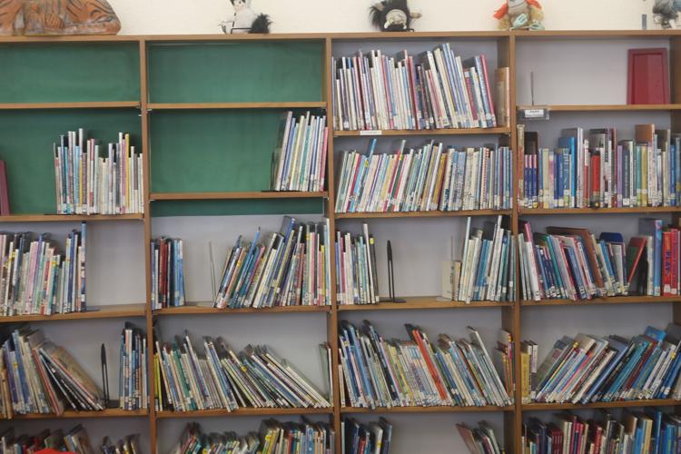 Library Reopening: New librarian leading renovations | News ...