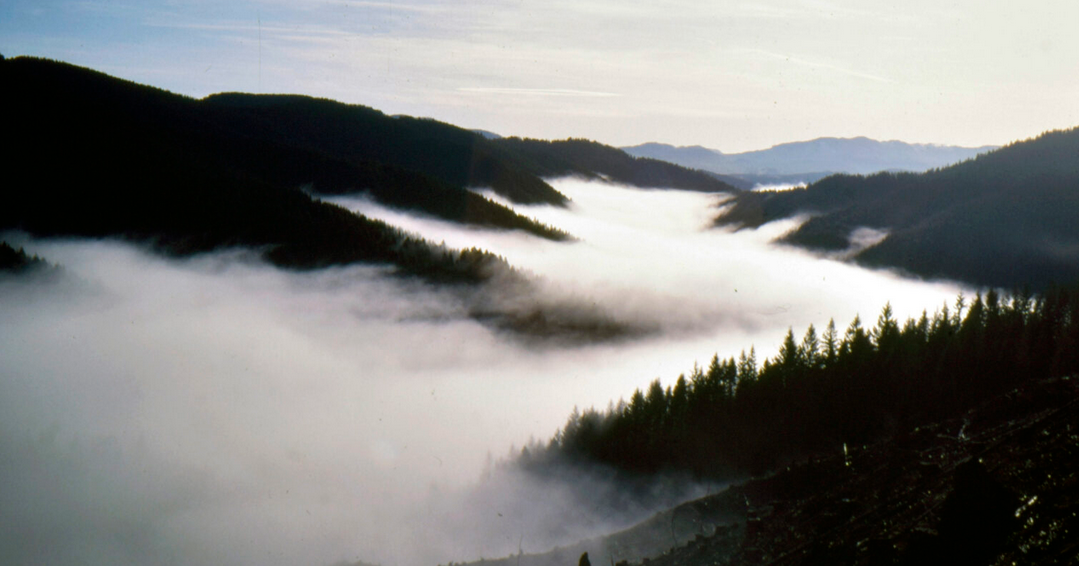 Gov. Kotek picks Nevada state forester as first woman to lead Oregon ...