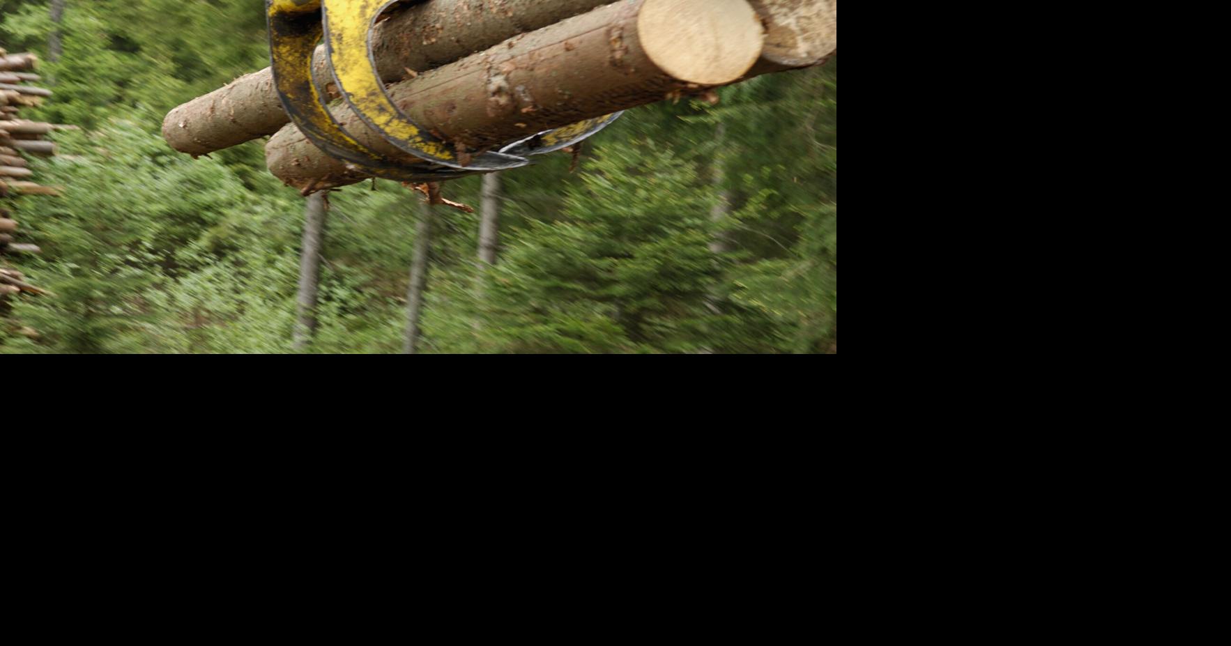 Counties excluded from federal timber funds | News ...