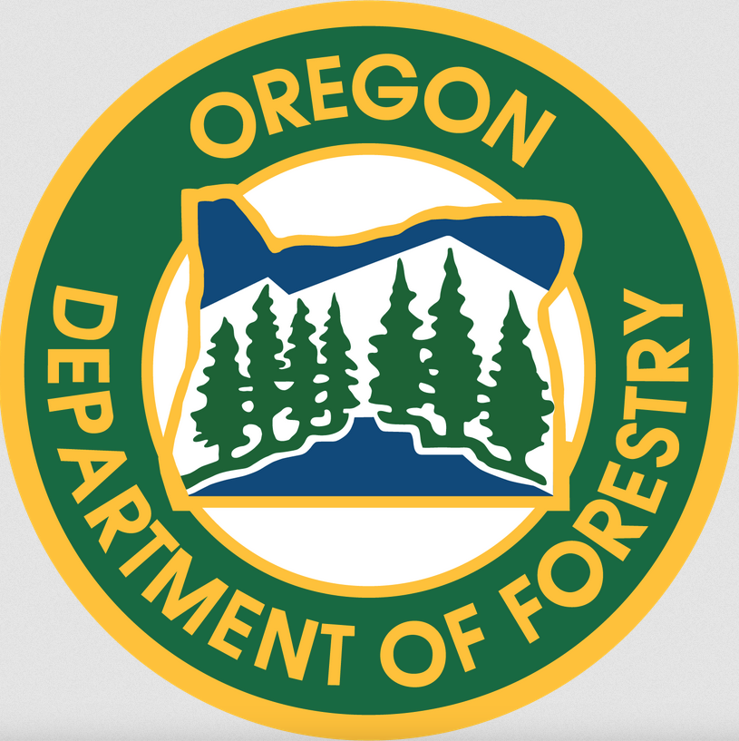 Proposed state forest management plan information session | News ...