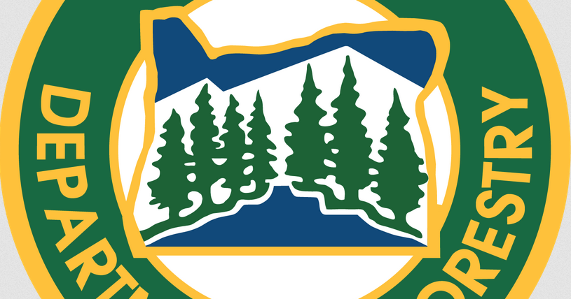 Proposed state forest management plan information session | News ...