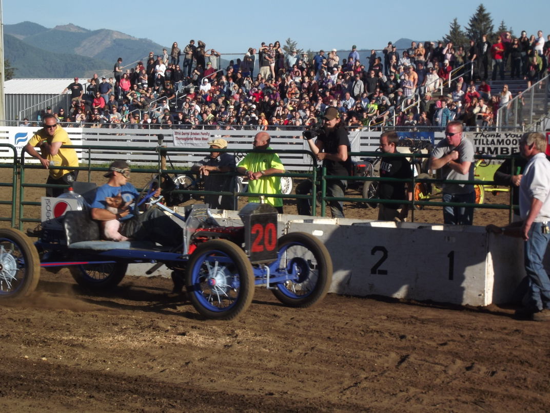 2014 Tillamook County Fair Photo Gallery | Community ...