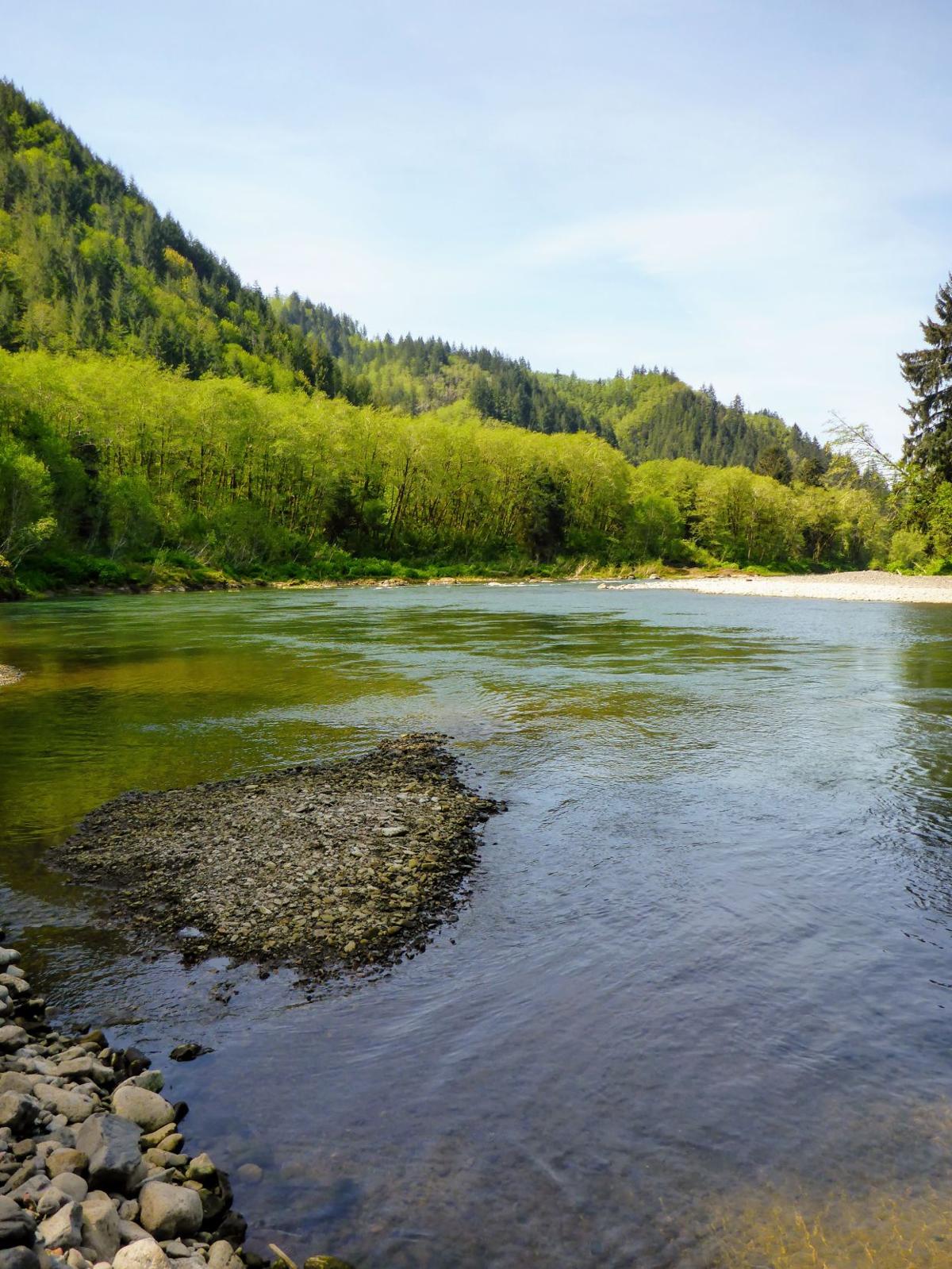 Nehalem River Scenic Waterway management plan listening session | News ...