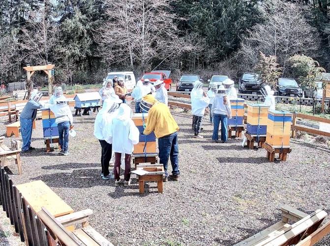 Beekeepers enjoy new apiary | News | tillamookheadlightherald.com