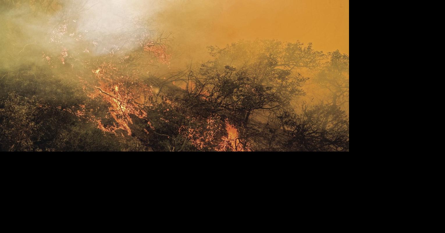 Tillamook County burn ban starts July 15 | News ...